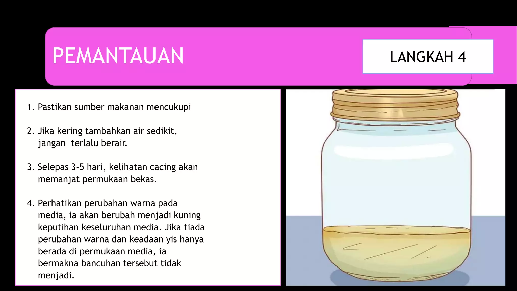 Slide PPT Mikroworm Daf 1042 tv t3 | PPT