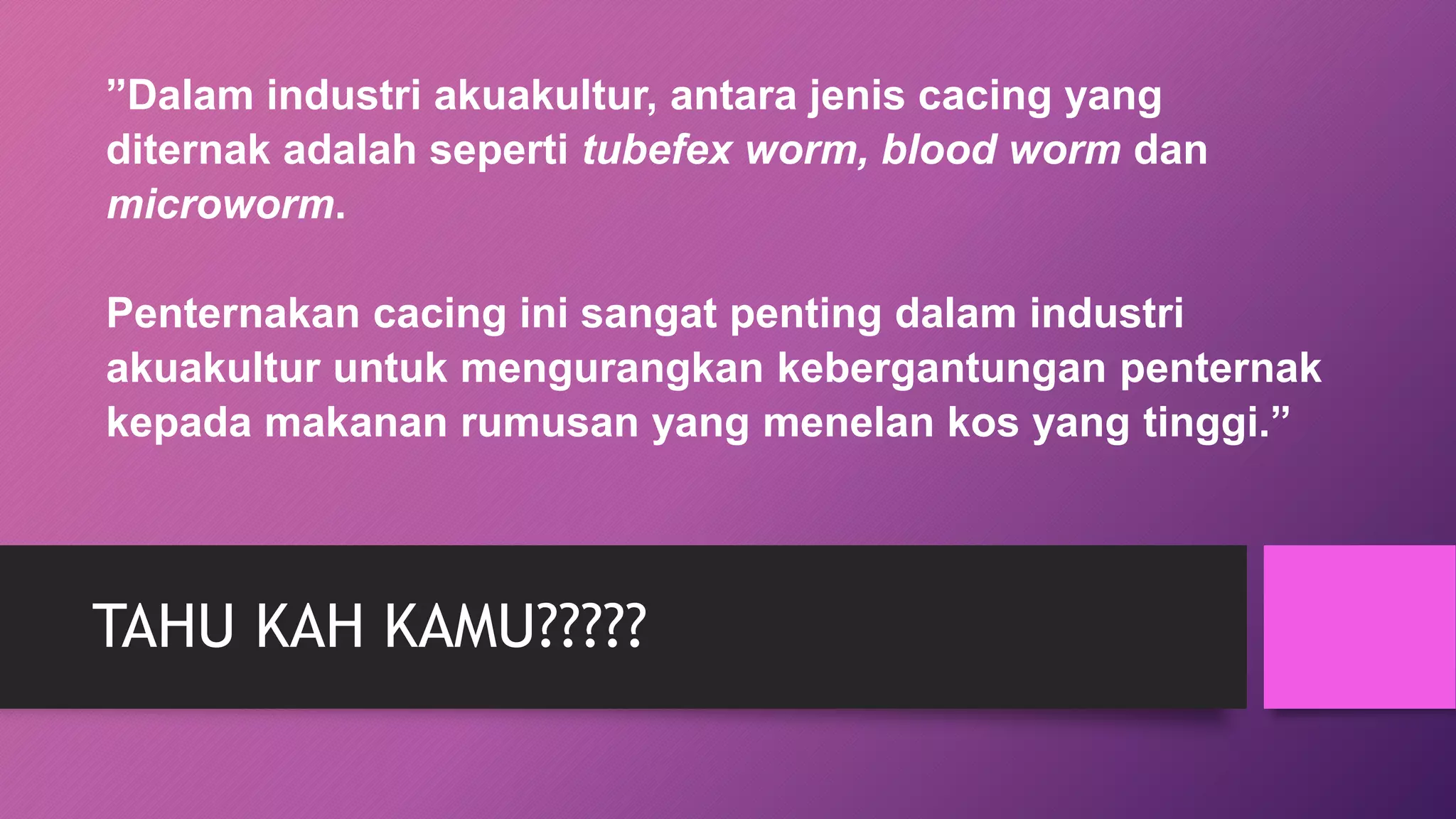 Slide PPT Mikroworm Daf 1042 tv t3 | PPT