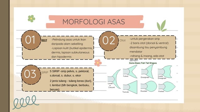 DAF 1313 TOPIK 3 PEMILIHAN SPESIES & MORFOLOGI .pptx