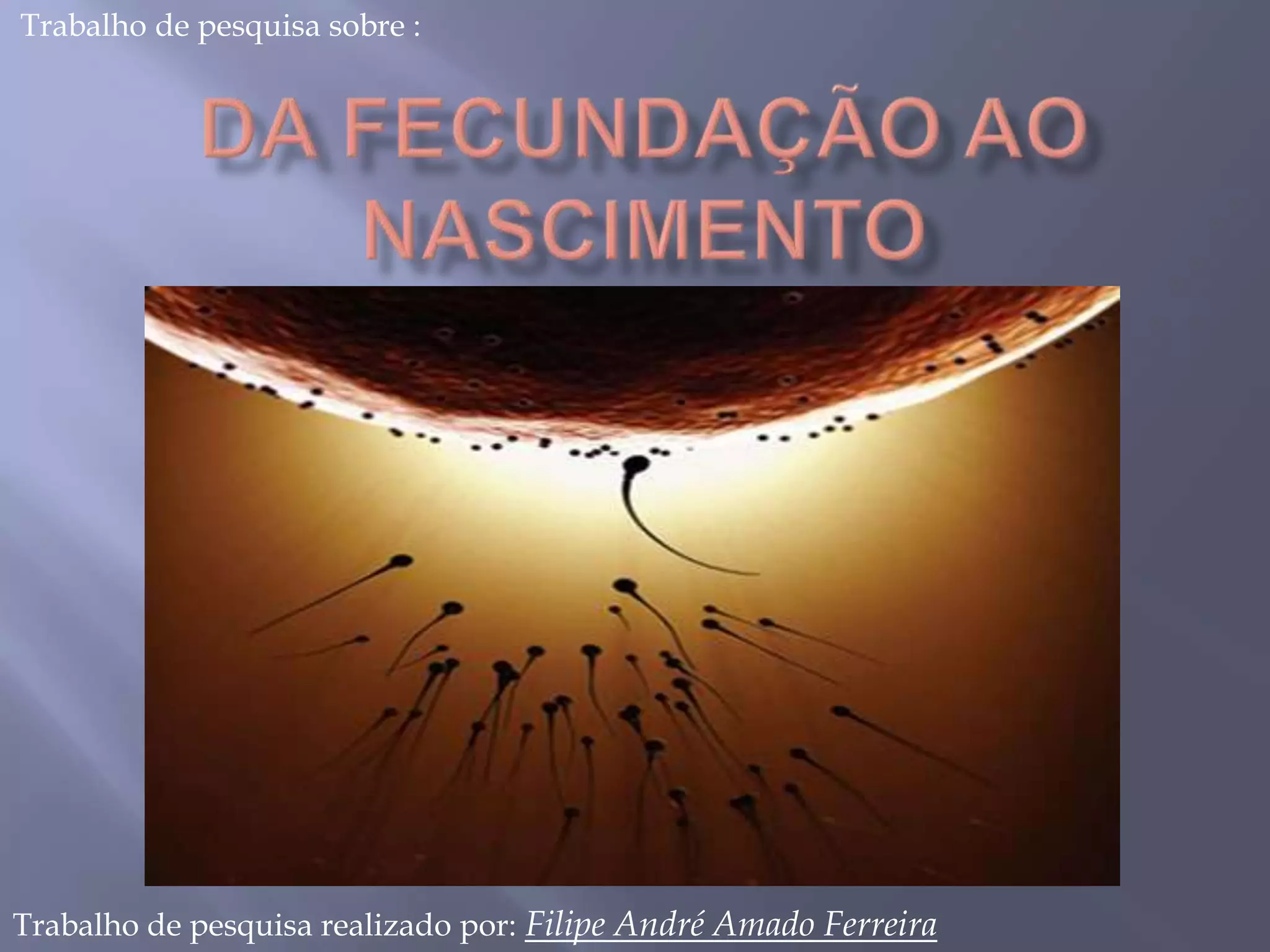 Da fecundação ao nascimento | PPT