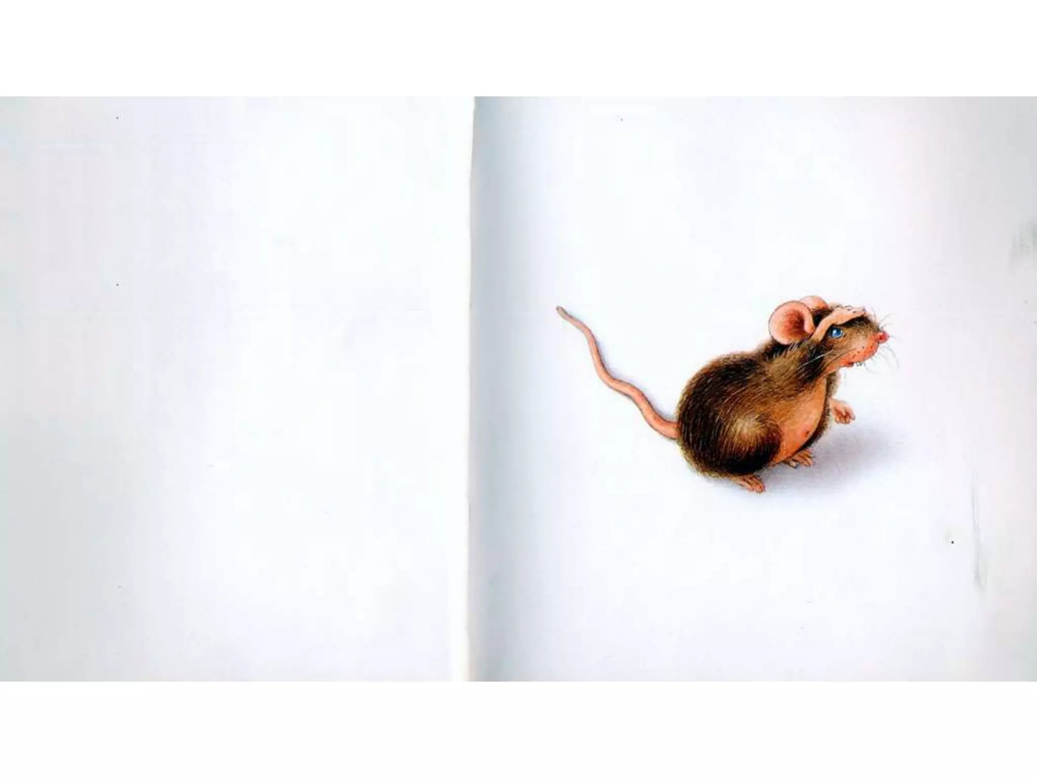 Daffine the Mouse ppt story.pptx