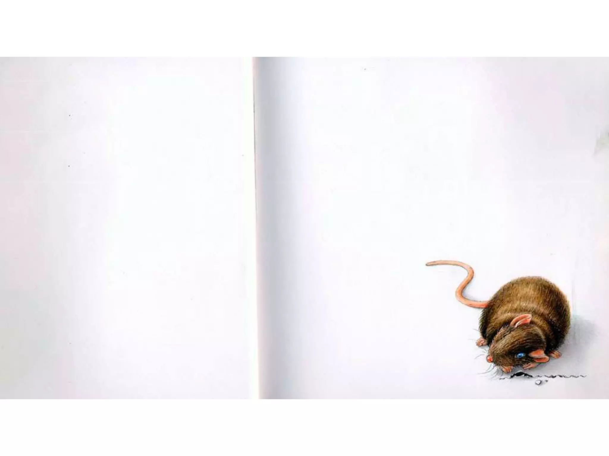 Daffine the Mouse ppt story.pptx