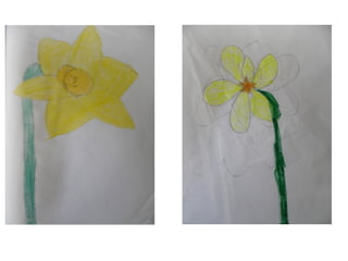 Daffodils | KEY