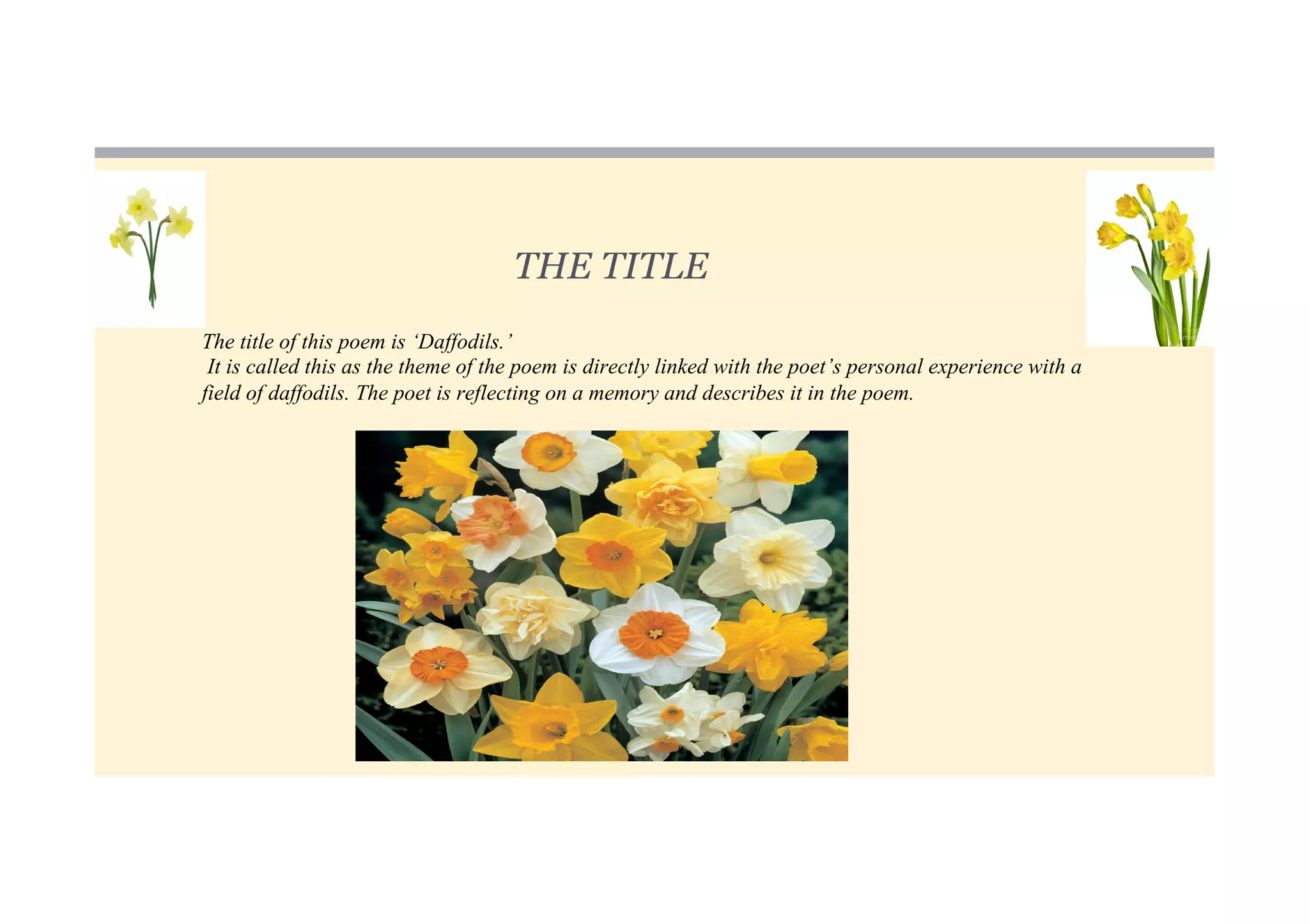 Daffodils ppt | PDF