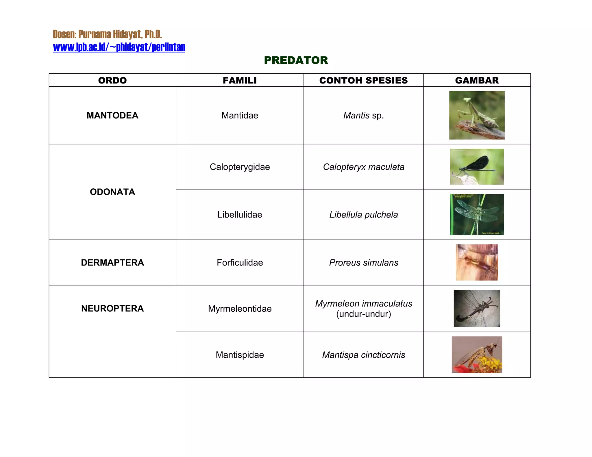 PREDATOR HAMA DI INDONESIA | PDF