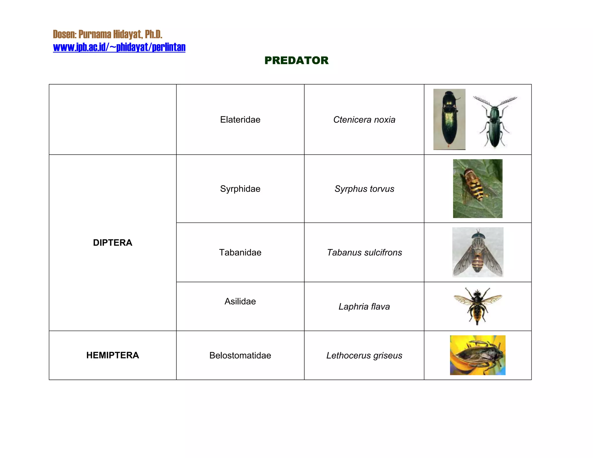 PREDATOR HAMA DI INDONESIA | PDF