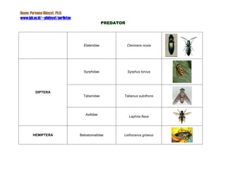 PREDATOR HAMA DI INDONESIA | PPT
