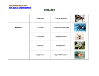 PREDATOR HAMA DI INDONESIA | PPT