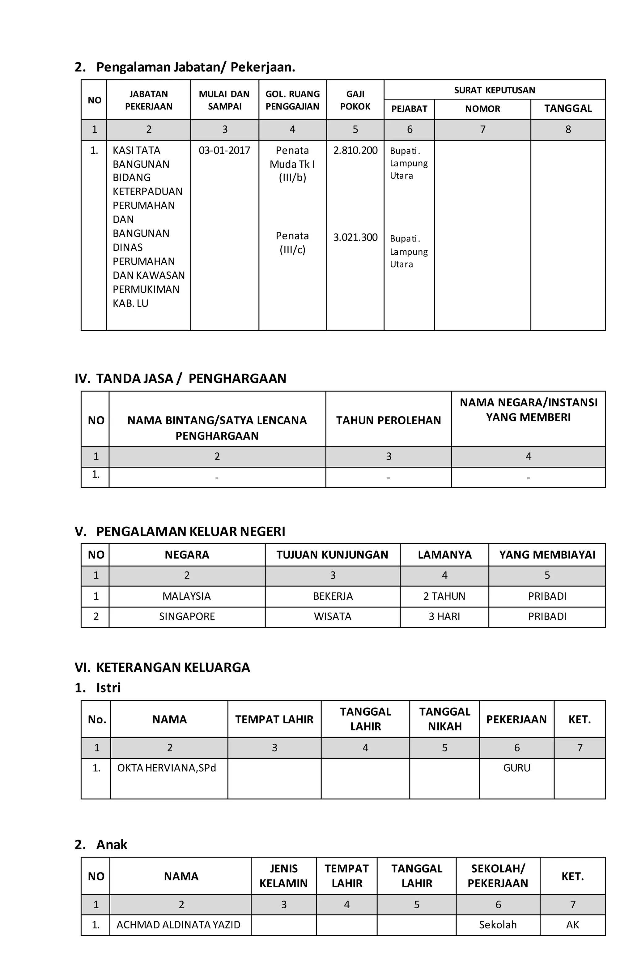 file Daftar riwayat hidup pns | DOCX