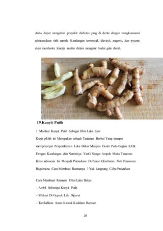 referensi apotek hidup Daftar tanaman herbal apotek hidup | DOCX