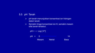 kemasaman tanah | PPTX