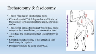 Burn Injury classification and management | PPTX