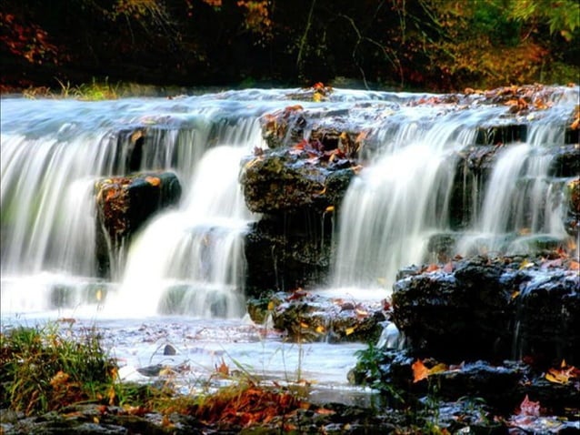 NATURE PHOTOGRAPHER DAG ROTTERENG | PPS