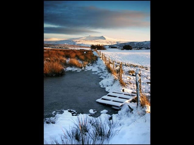 NATURE PHOTOGRAPHER DAG ROTTERENG | PPS