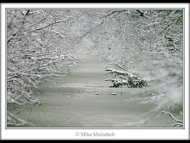 NATURE PHOTOGRAPHER DAG ROTTERENG | PPS