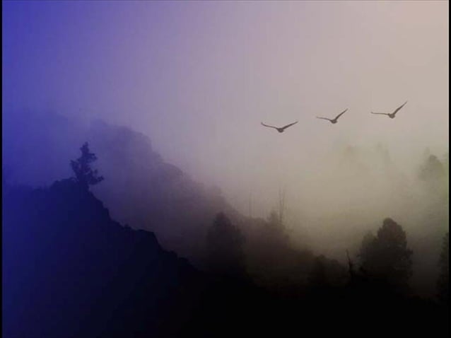 NATURE PHOTOGRAPHER DAG ROTTERENG | PPS