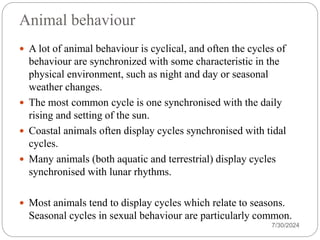 DAH 43 Animal behaviour.pptx animal science | PPTX