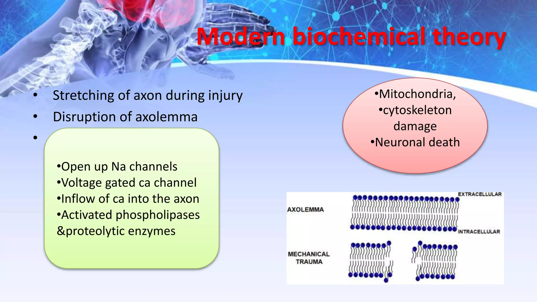 DIFFUSE AXONAL INJURY,CONCUSSION & CONTUSION | PPTX