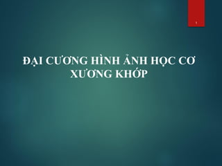 Đại cương hình ảnh học cơ xương khớp | PDF