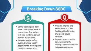 daily-improvements-with-sqdc-process.pdf