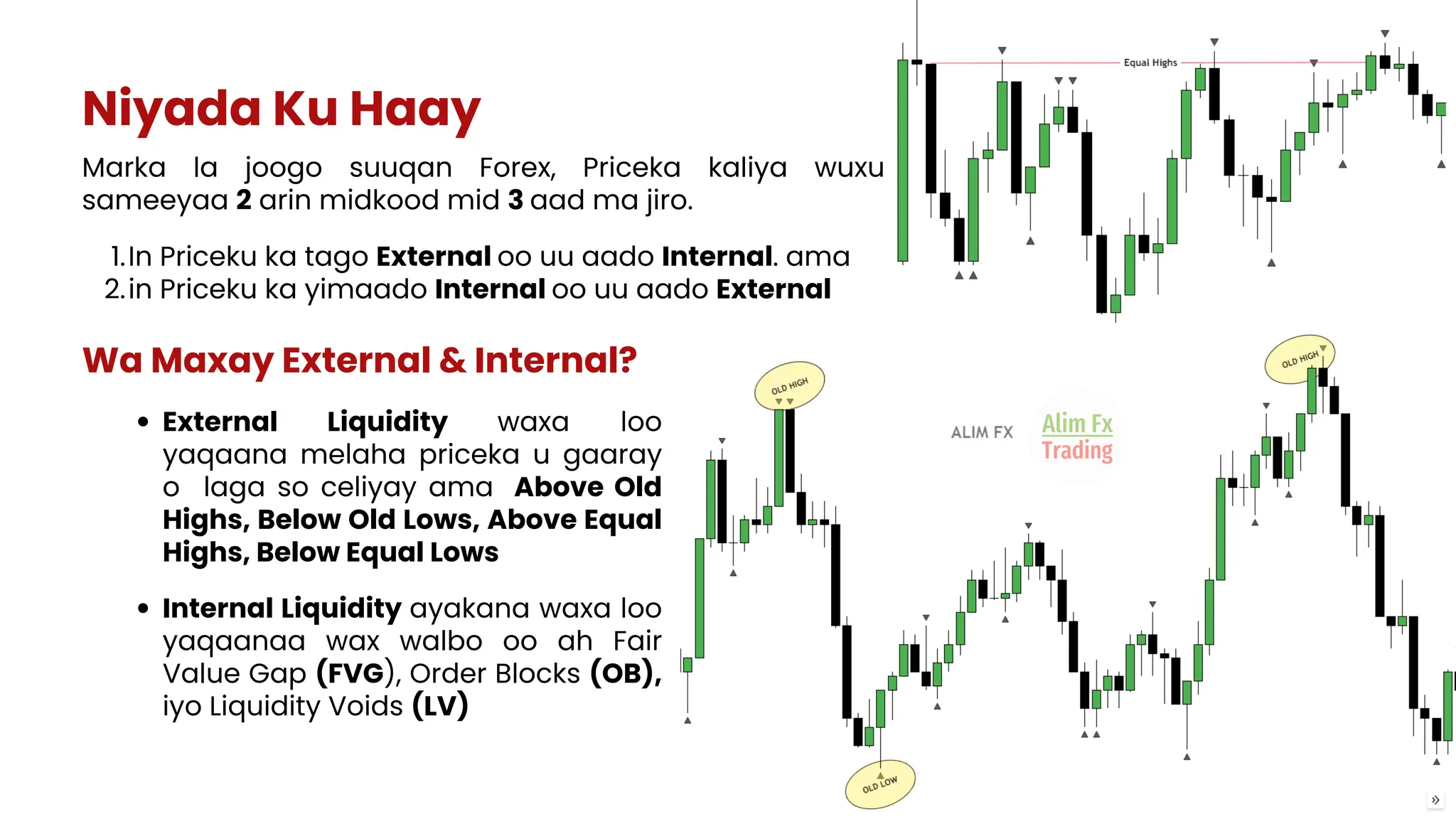 Daily Bias Presentation Pdf