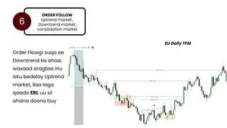 DAILY BIAS PRESENTATION.pdf