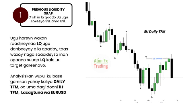 DAILY BIAS PRESENTATION.pdf | Financial Industry | Industries