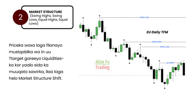 DAILY BIAS PRESENTATION.pdf | Financial Industry | Industries