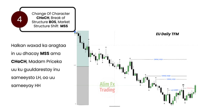 DAILY BIAS PRESENTATION.pdf | Financial Industry | Industries