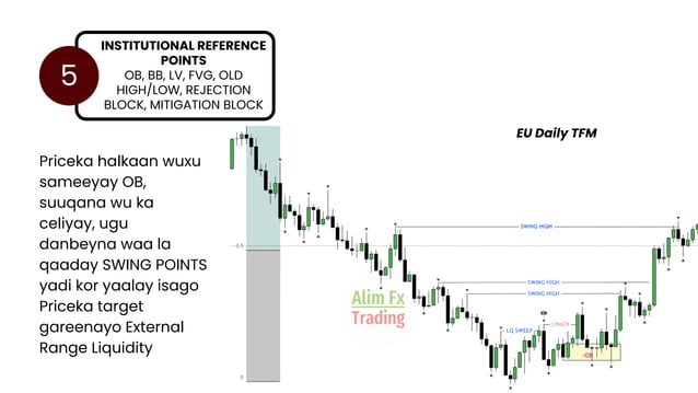 DAILY BIAS PRESENTATION.pdf | Financial Industry | Industries