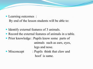 Daily lesson plan 1 | PPT