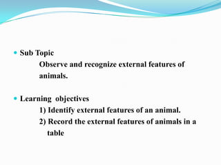 Daily lesson plan 1 | PPT