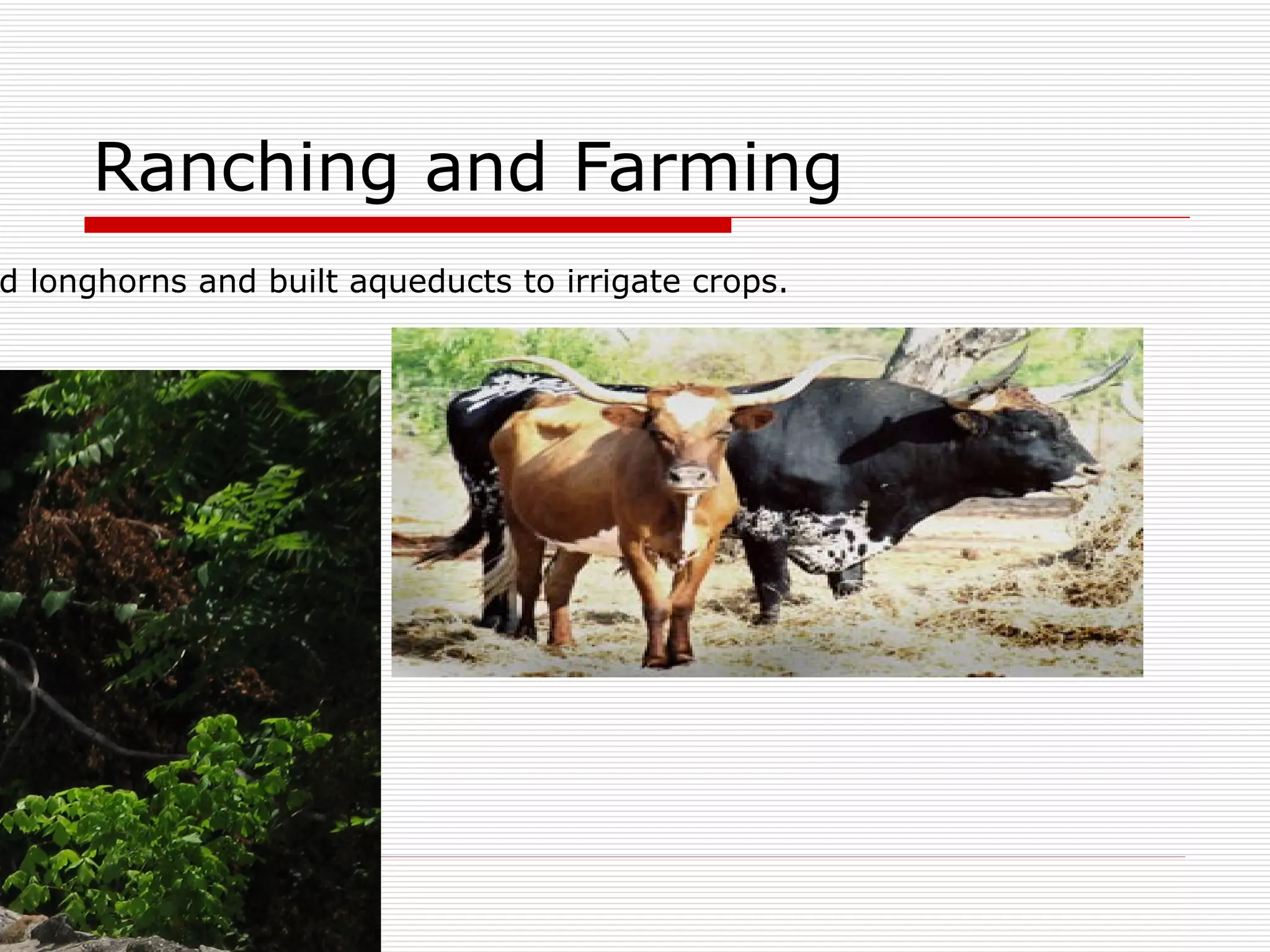 Daily Life In Spanish Texas Missions | PPT