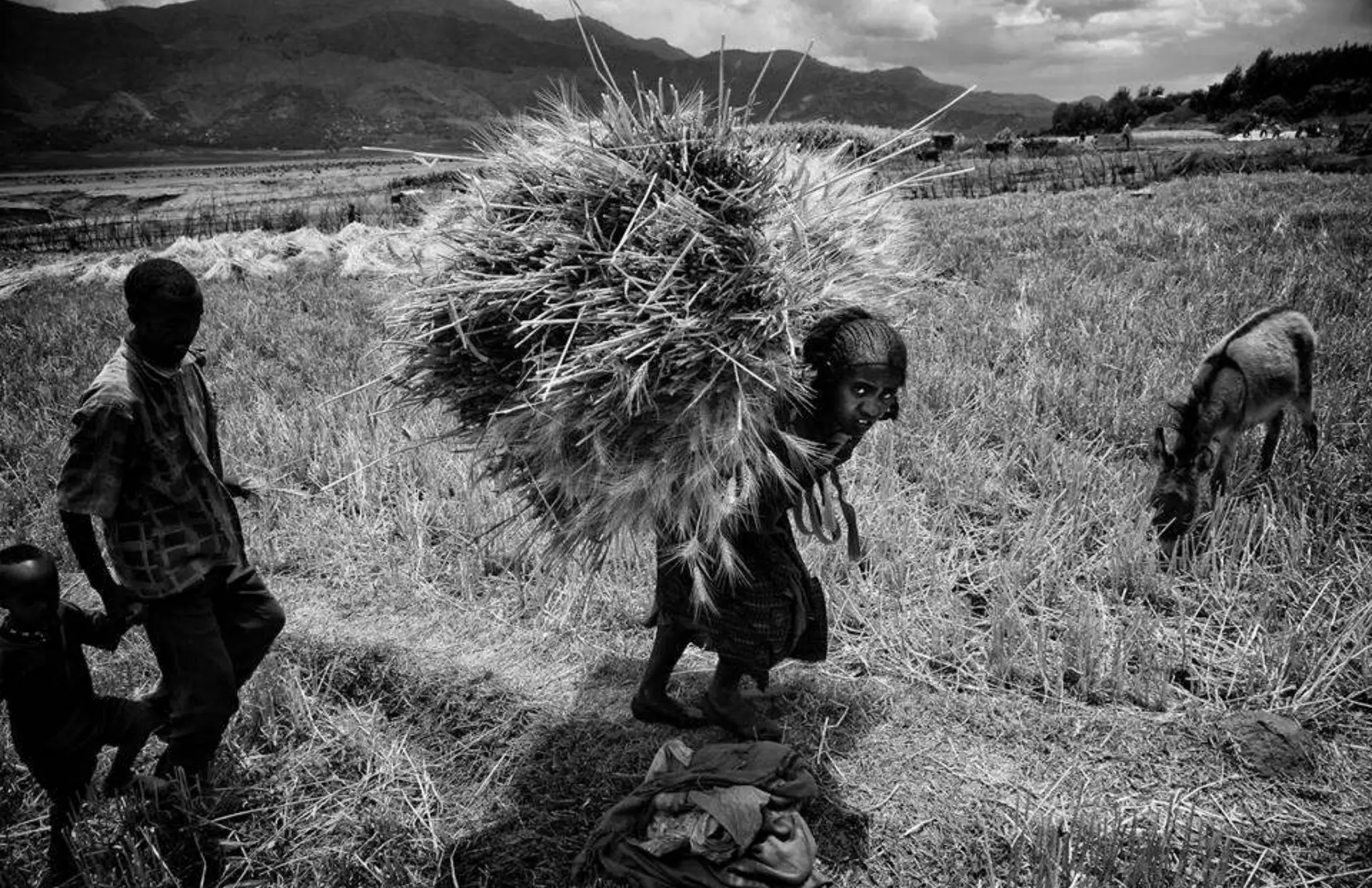Daily Life of African Tribes | PPSX