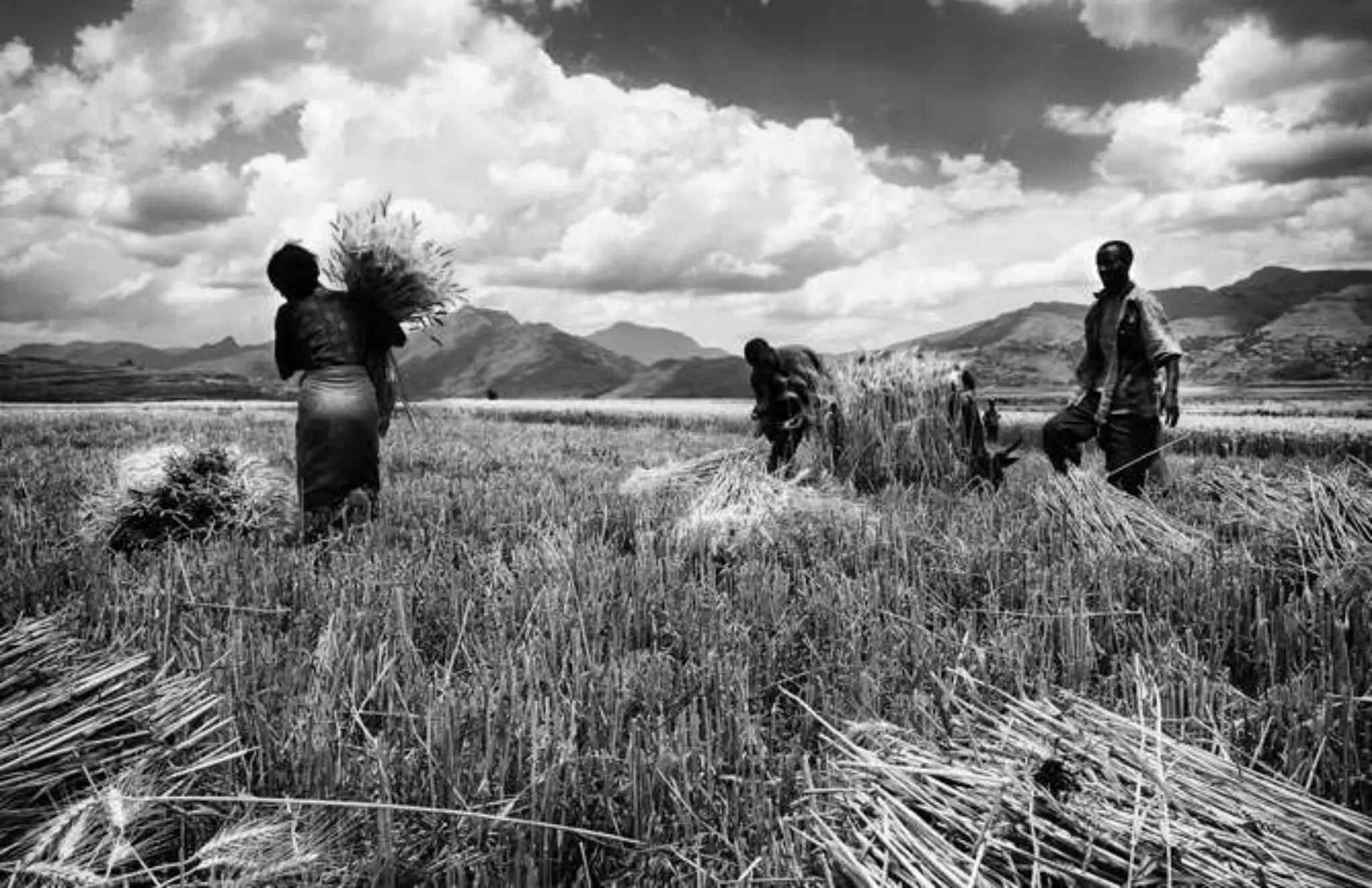 Daily Life of African Tribes | PPSX