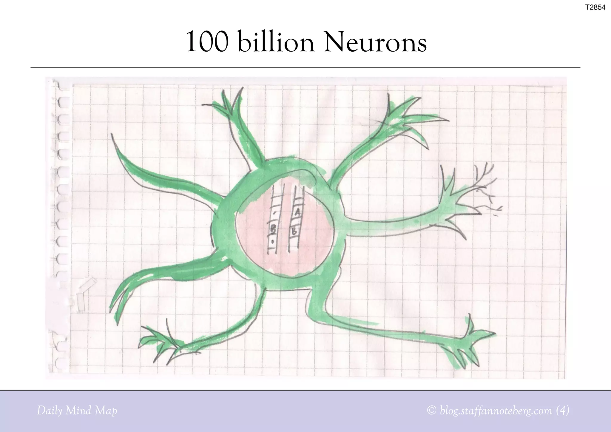 Daily Mind Map | PDF
