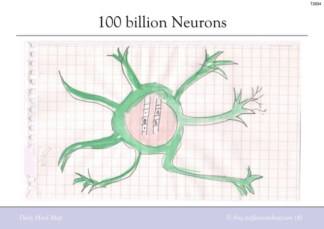 Daily Mind Map | PPT