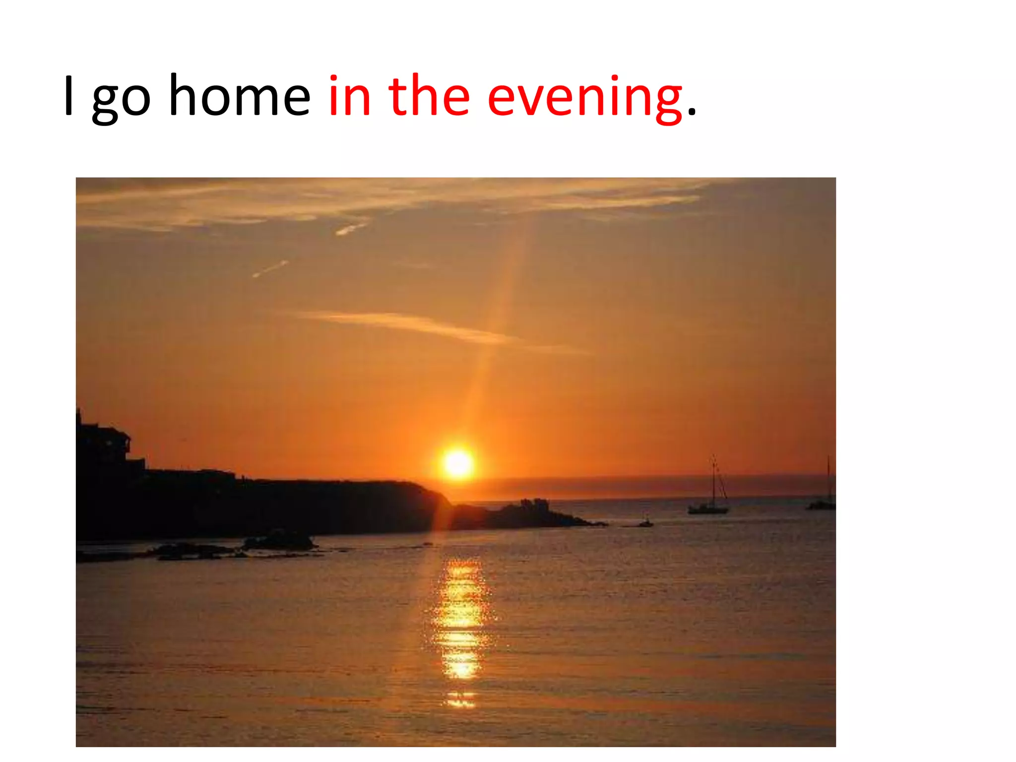 Daily routine | PPTX