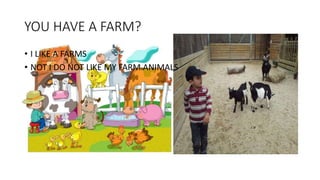 Daily routine | PPTX