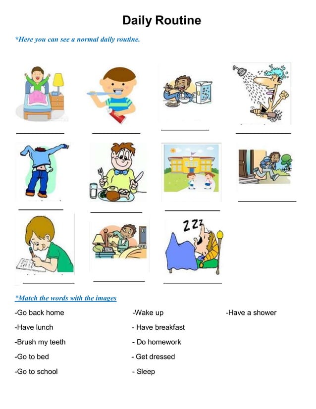 Daily routine | PDF