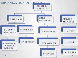 Daily routine abord ship | PPT