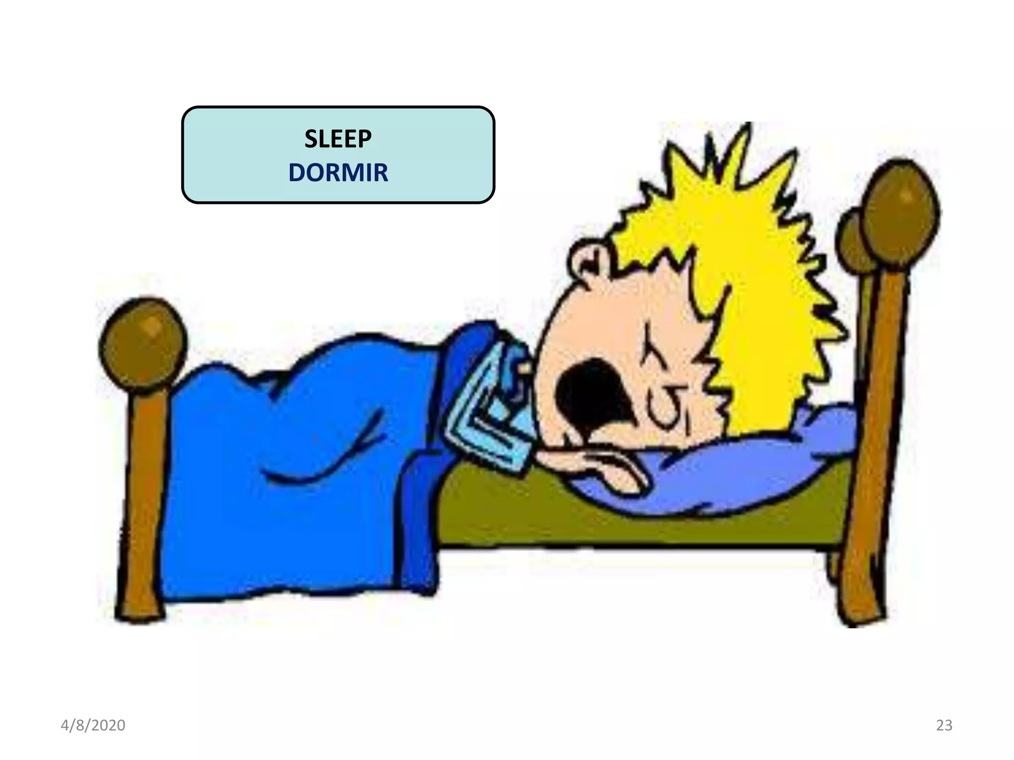 Daily Routine Common Verbs | PPT