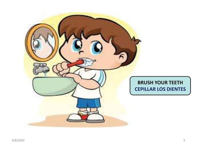 Daily Routine Common Verbs | PPT