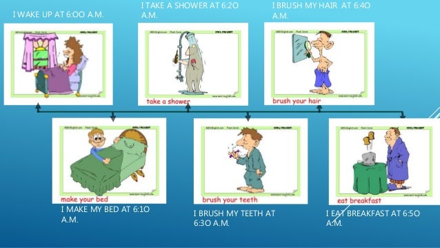 Daily routine timeline