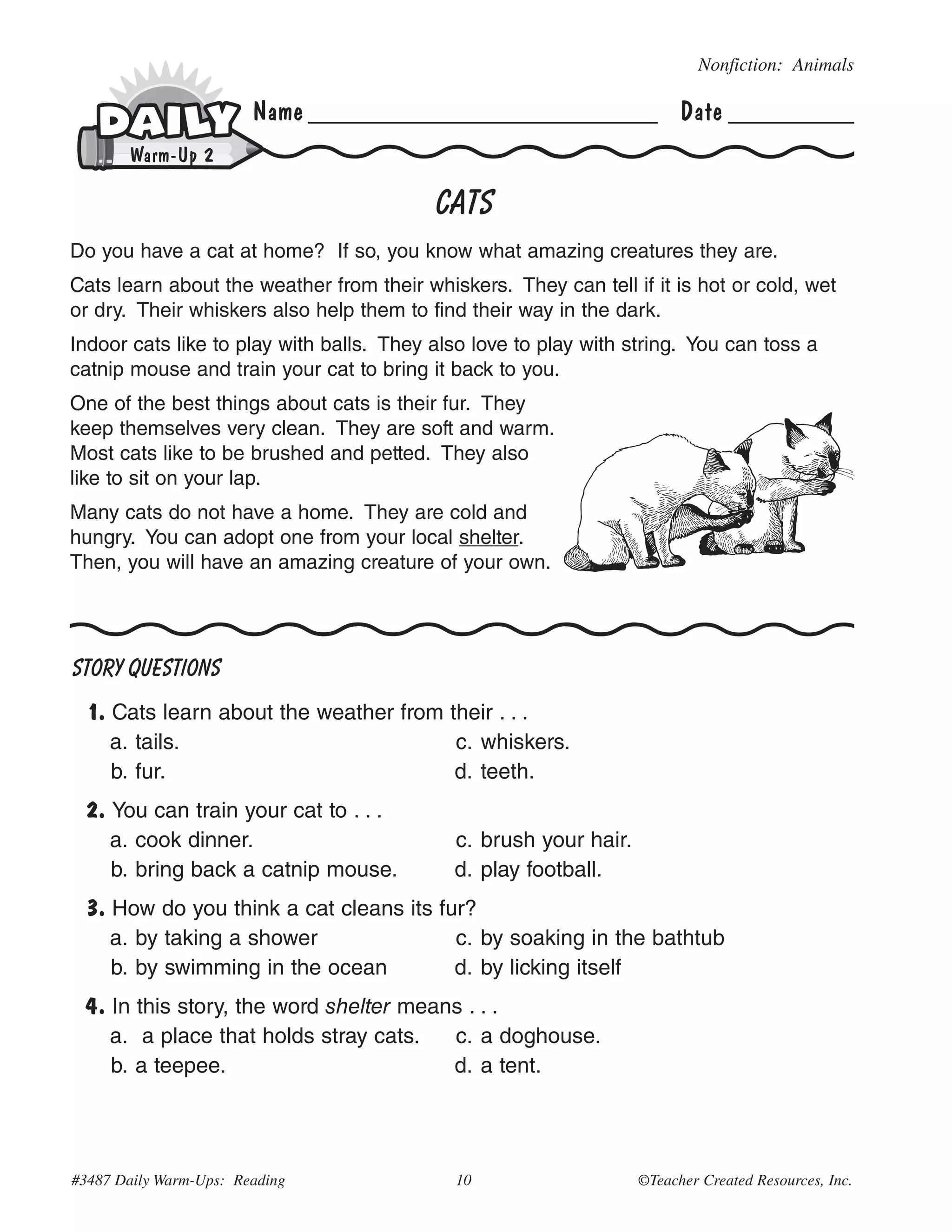 Daily Warm-ups Reading Grade 1 | PDF