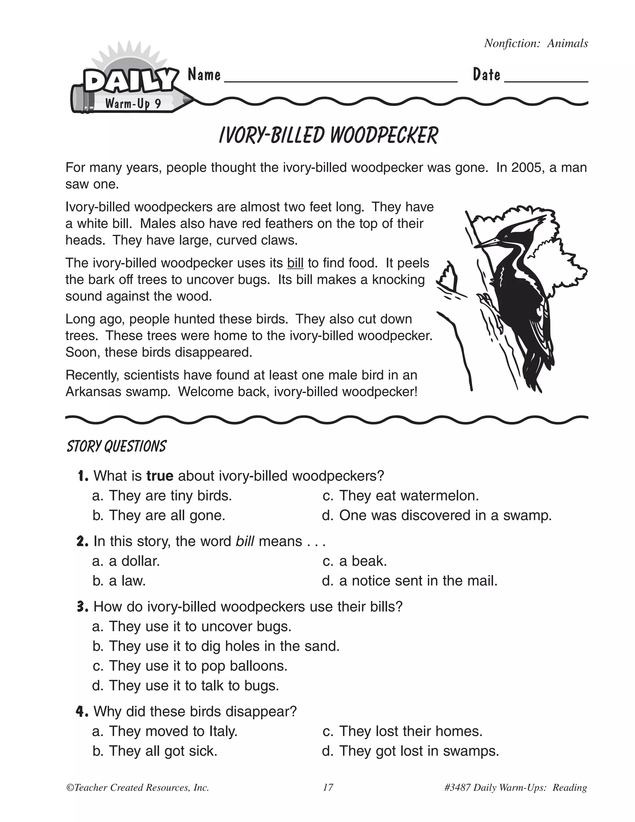 Daily Warm-ups Reading Grade 1 | PDF