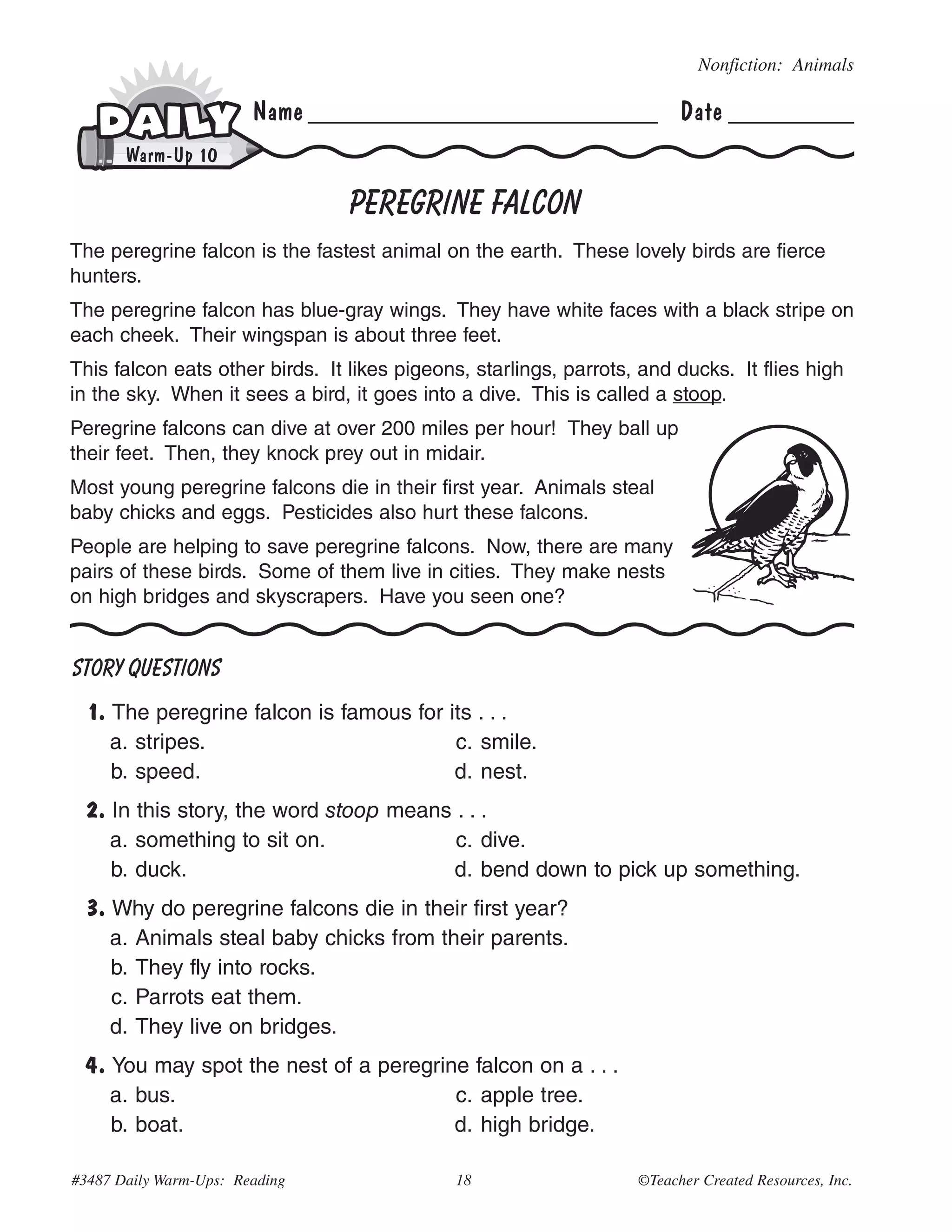 Daily Warm-ups Reading Grade 1 | PDF