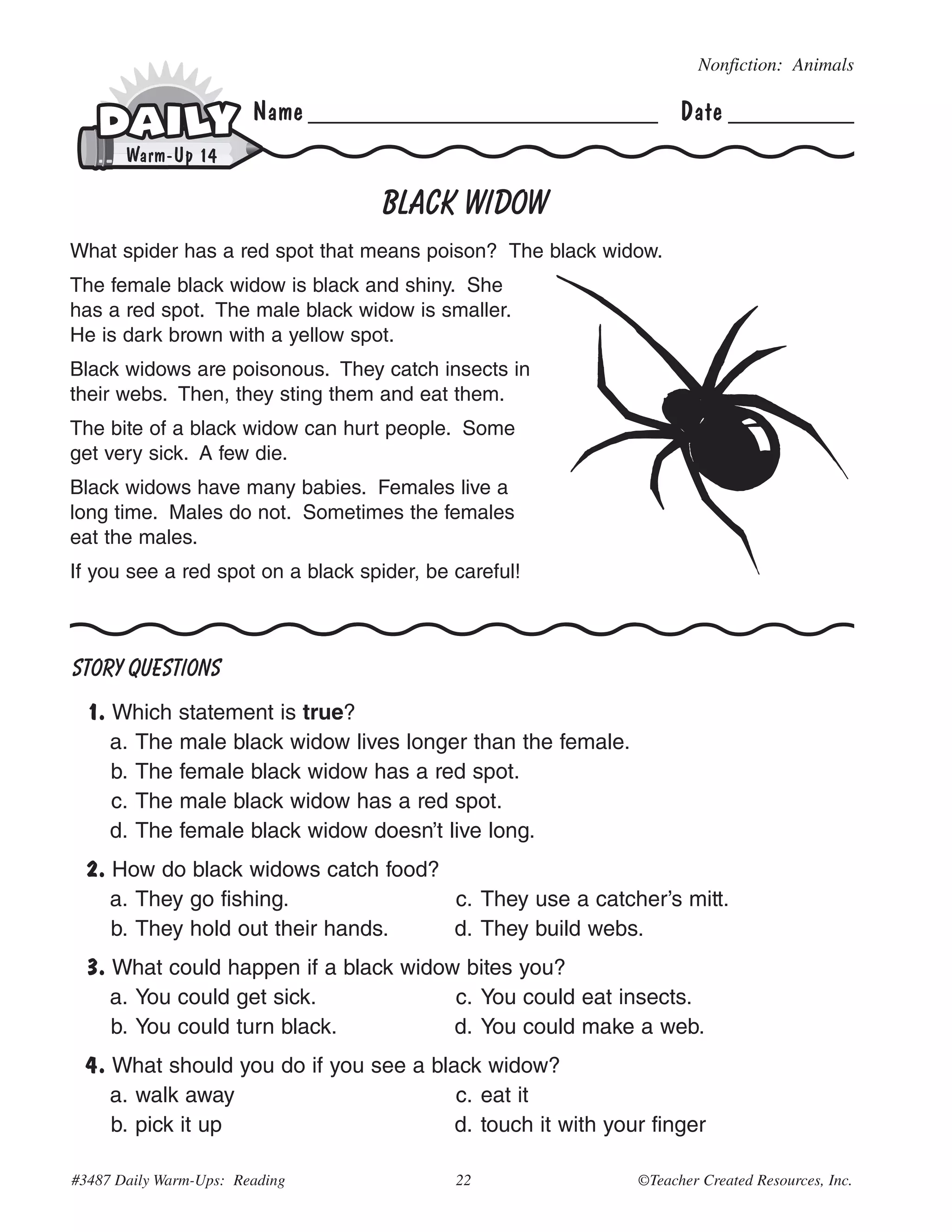 Daily Warm-ups Reading Grade 1 | PDF
