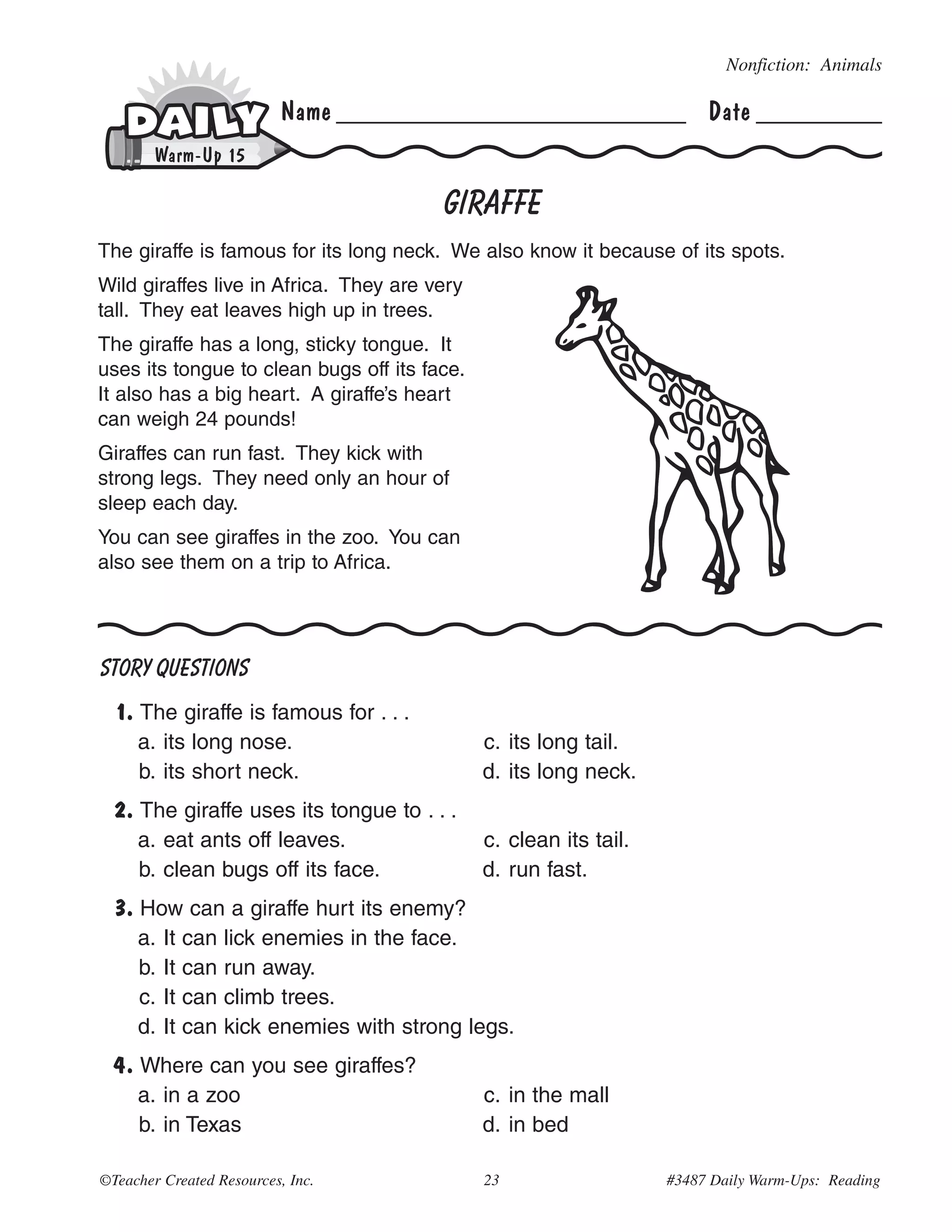 Daily Warm-ups Reading Grade 1 | PDF