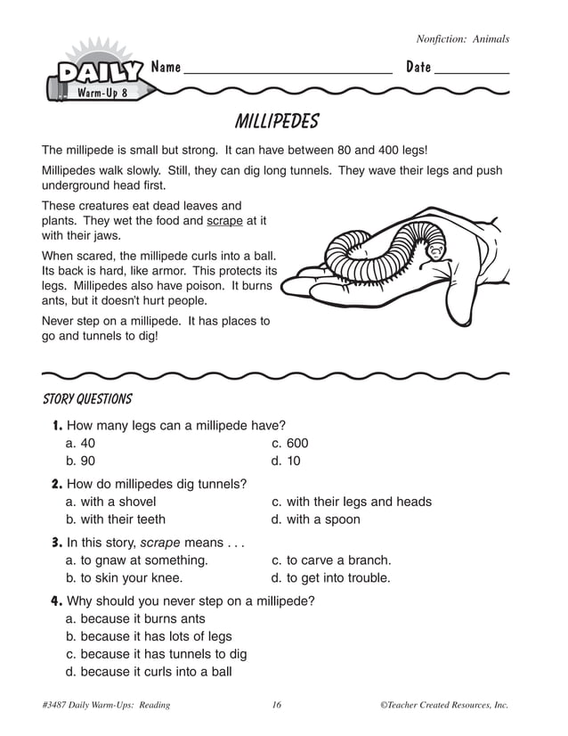 Daily Warm-ups Reading Grade 1 | PDF | Geography | Science